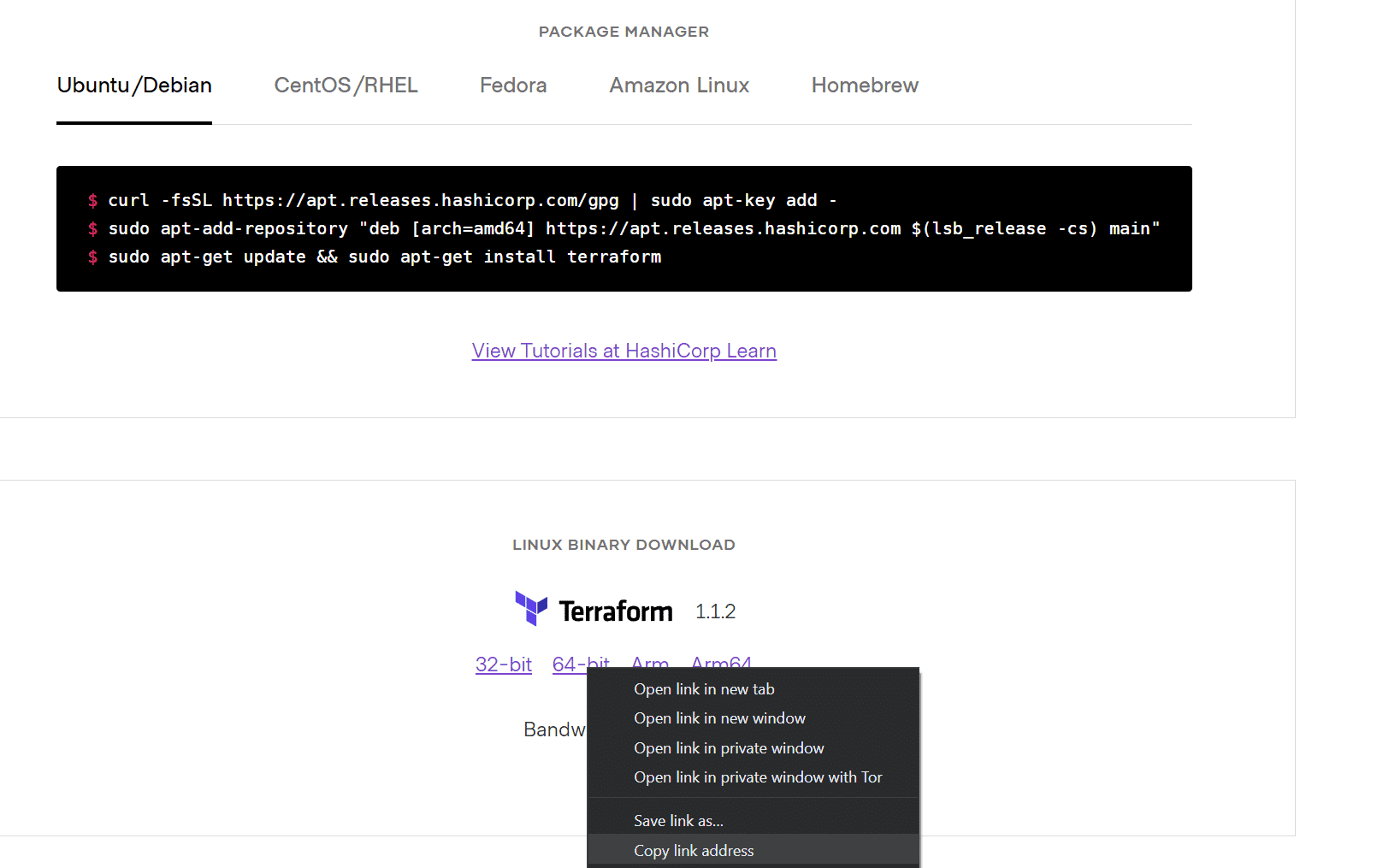 Download & Install Terraform on Windows, MacOS, Linux