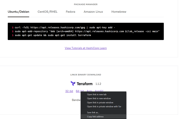Download & Install Terraform on Windows, MacOS, Linux