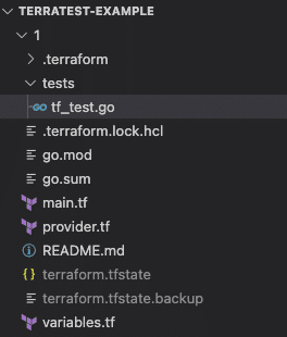 What is Terratest and How to Use it